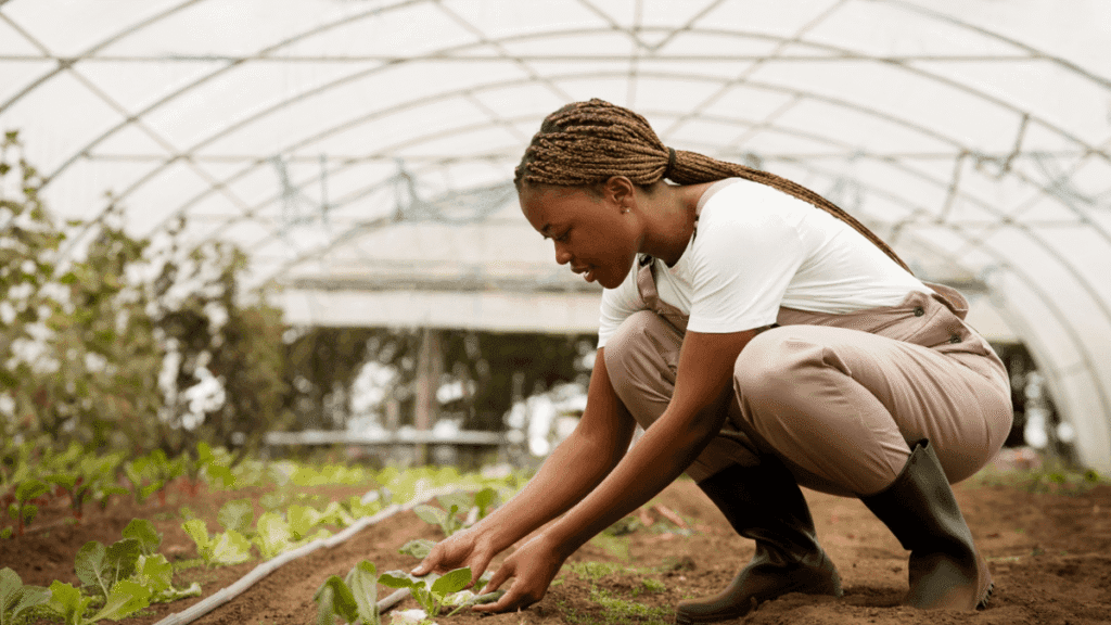 Vkb Agriculture Grain Grader Learnership 2025: Opportunity for Grade 12 ...