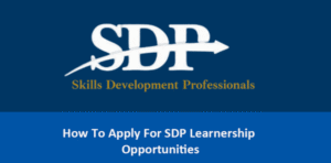 SDP Learnership Programme 2025 – Apply Online for SETA Accredited ...